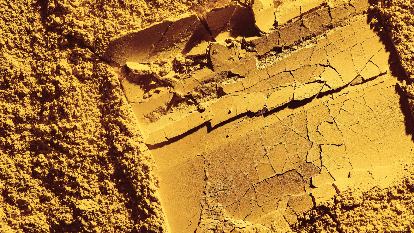 Solein® - Solar Foods