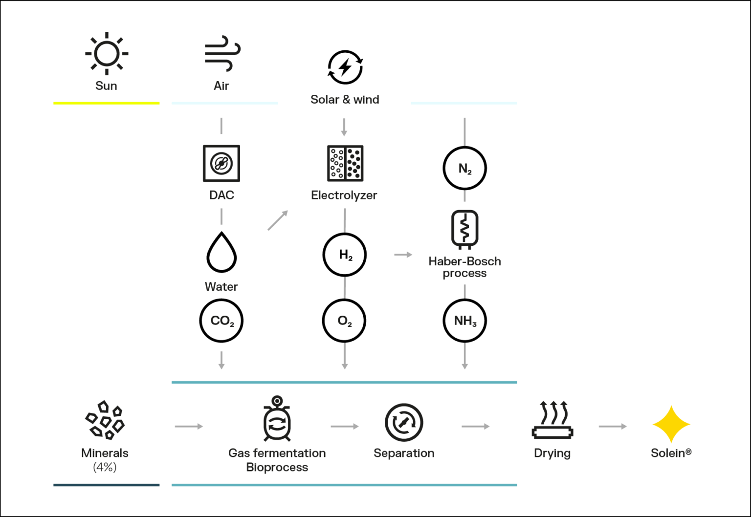 An elemental perspective to food production – Solar Foods produces a ...