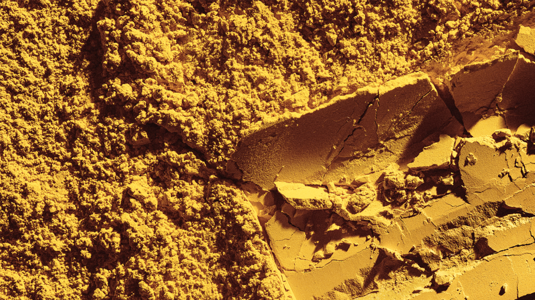 Discovery of the next potato – Solein® - Solar Foods