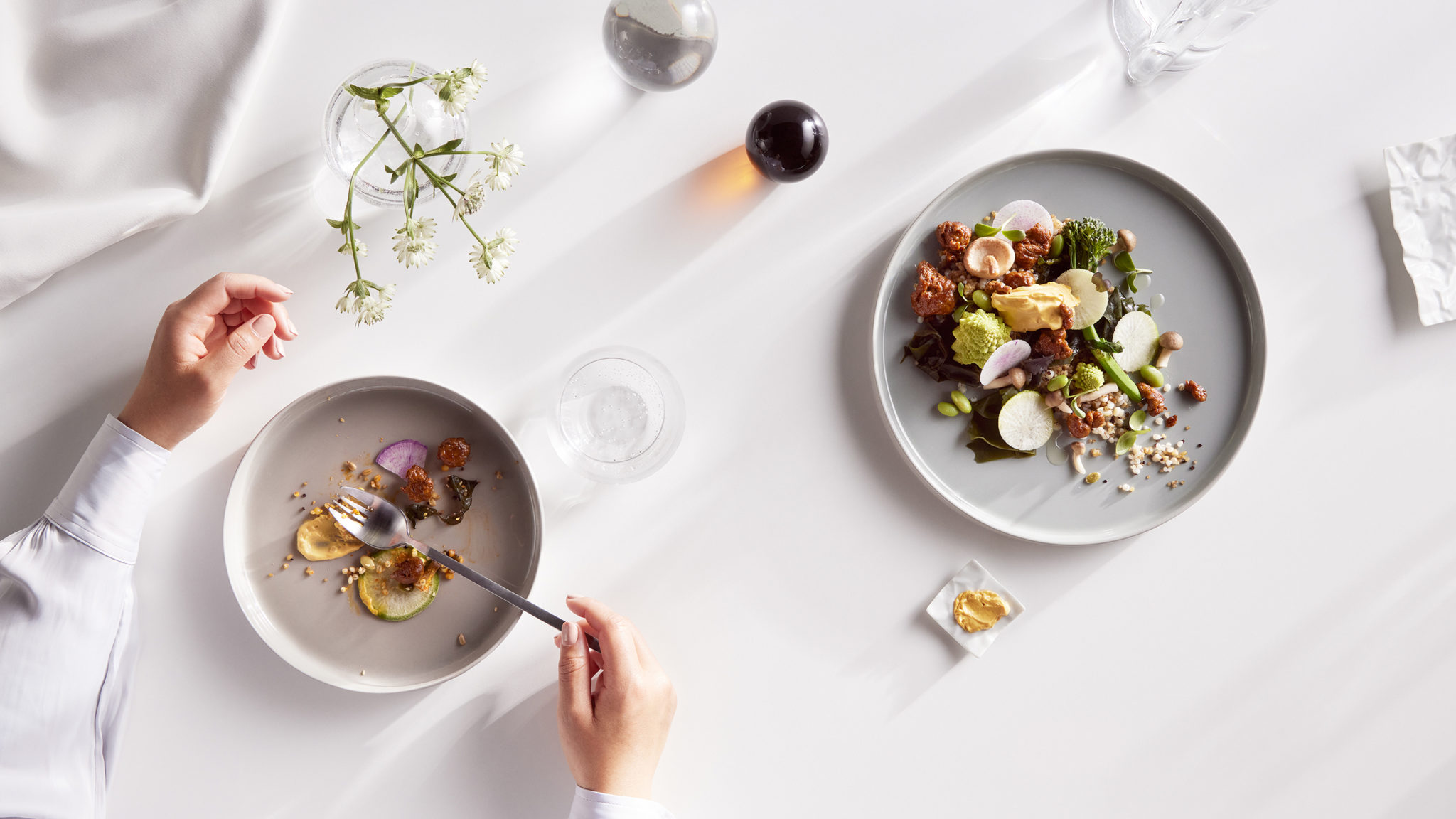 Solar Foods' Solein® makes its debut in Singapore's resilient food ...