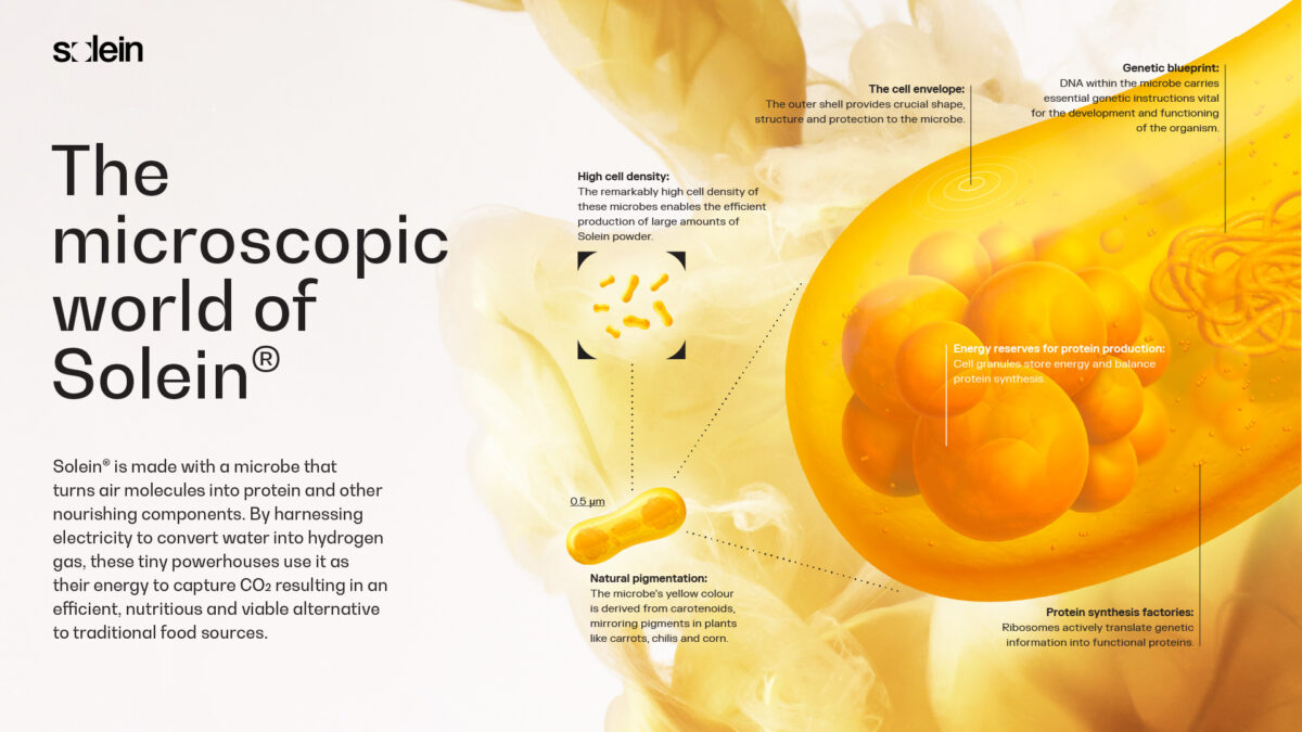 Solein® transforms ancient microbes into the future of food - Solar Foods
