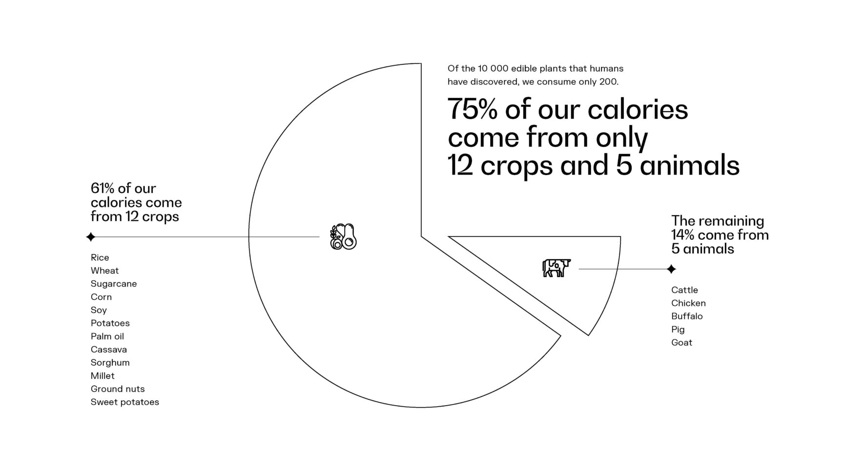 Solein® transforms ancient microbes into the future of food - Solar Foods